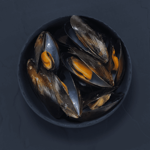 Blue Mussels (blanched) - Agnes Water Seafood