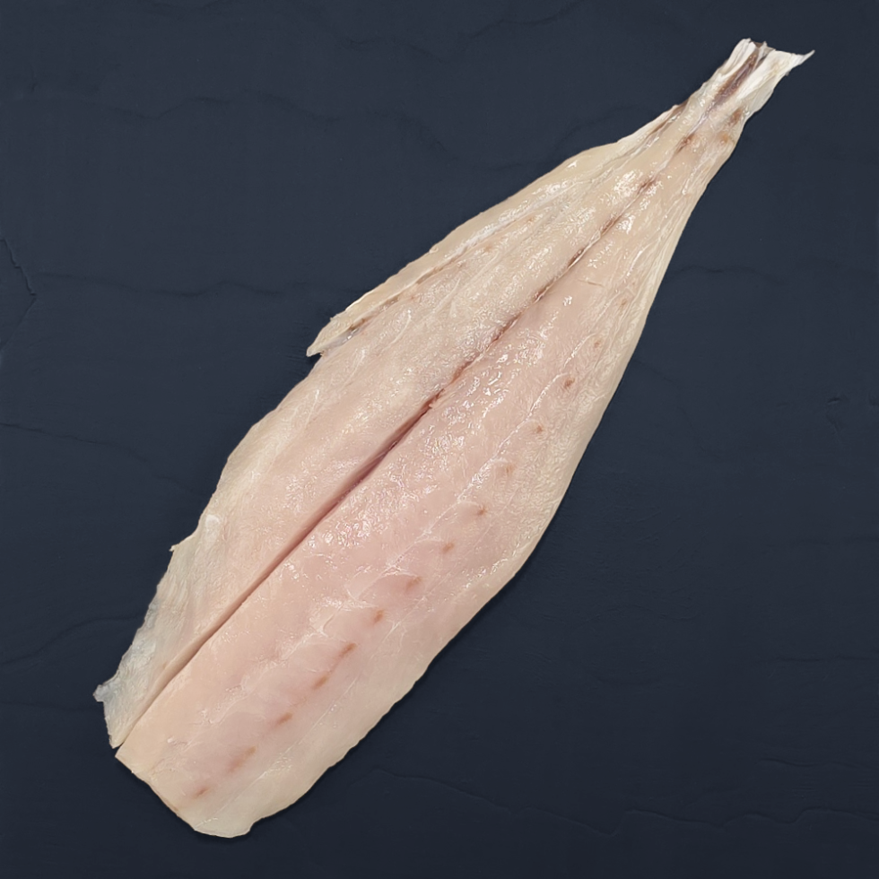 Queenfish (fillet) - Agnes Water Seafood