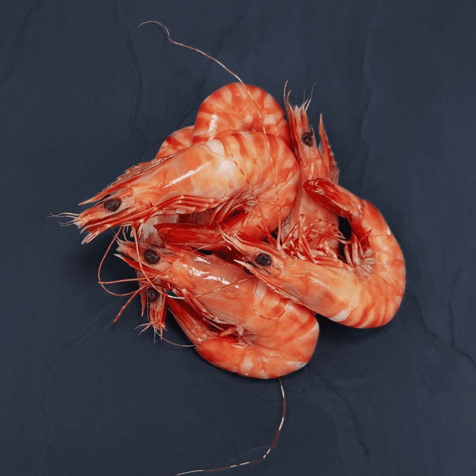 Tiger Prawns (cooked) - Agnes Water Seafood