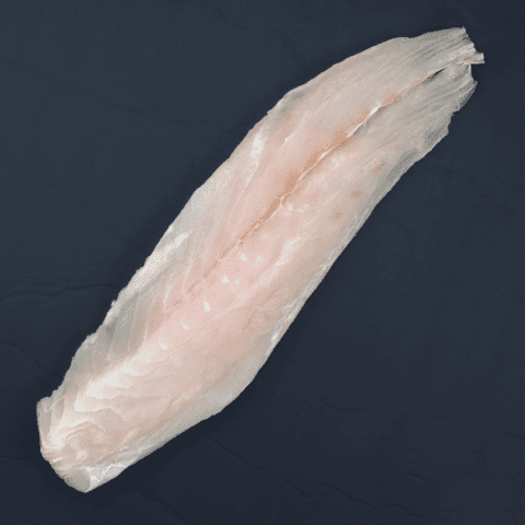 Jewel Fish (fillet) - Agnes Water Seafood
